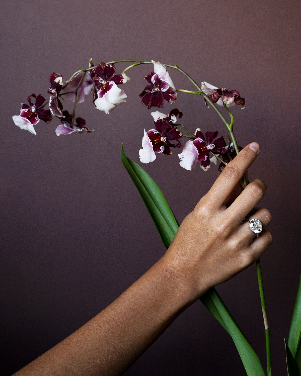 Bell and Bird Antique Old Mine Cut Moval Diamond Ring | Bell and Bird