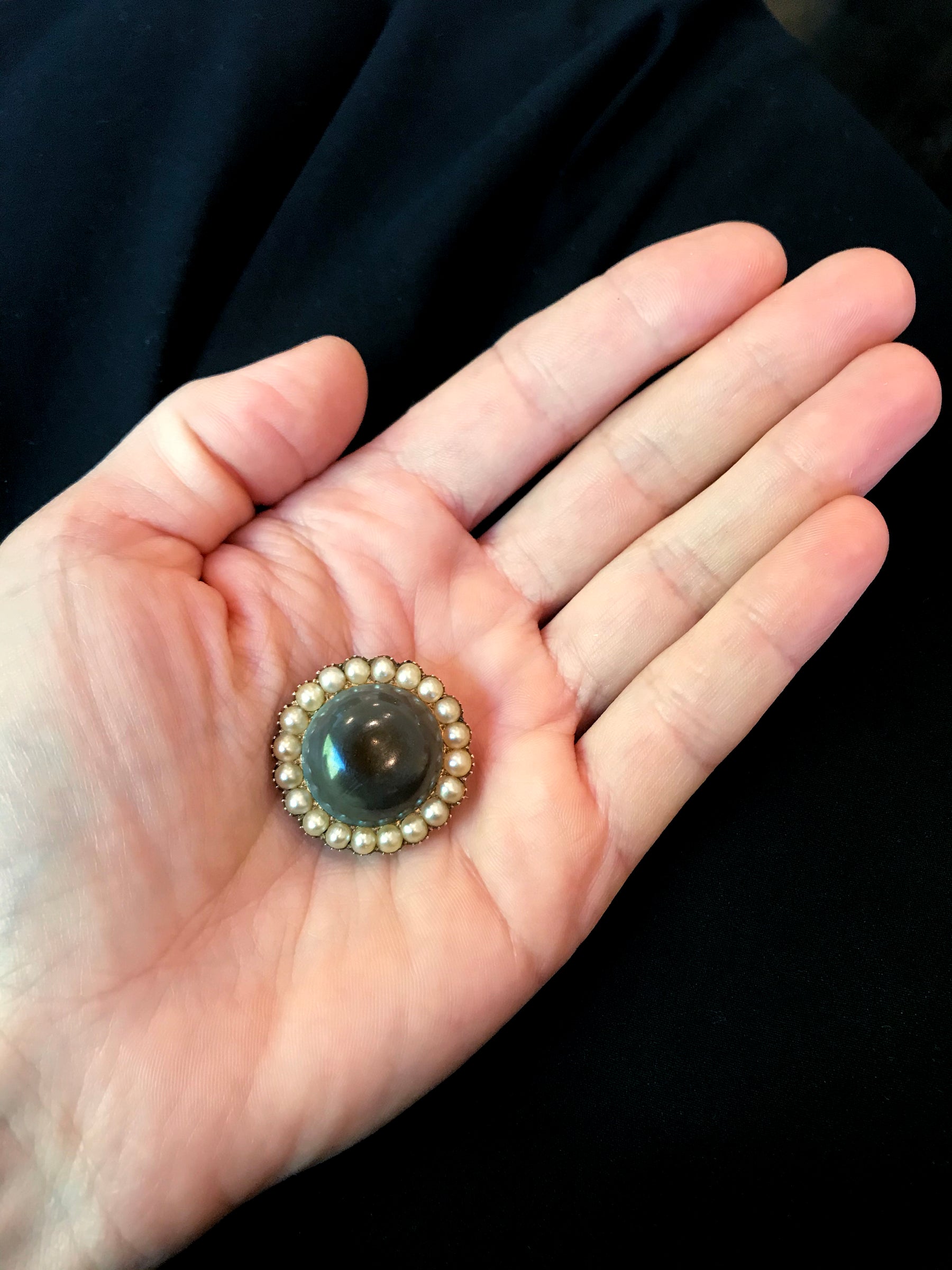 Rare Georgian Era Toadstone Talisman Brooch | Bell and Bird