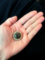 Rare Georgian Era Toadstone Talisman Brooch | Bell and Bird